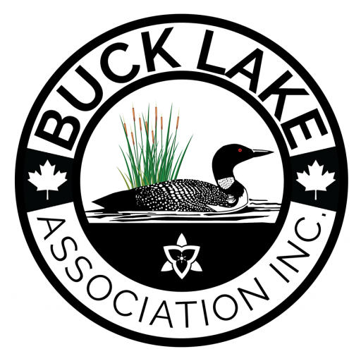 About Us – Buck Lake Association